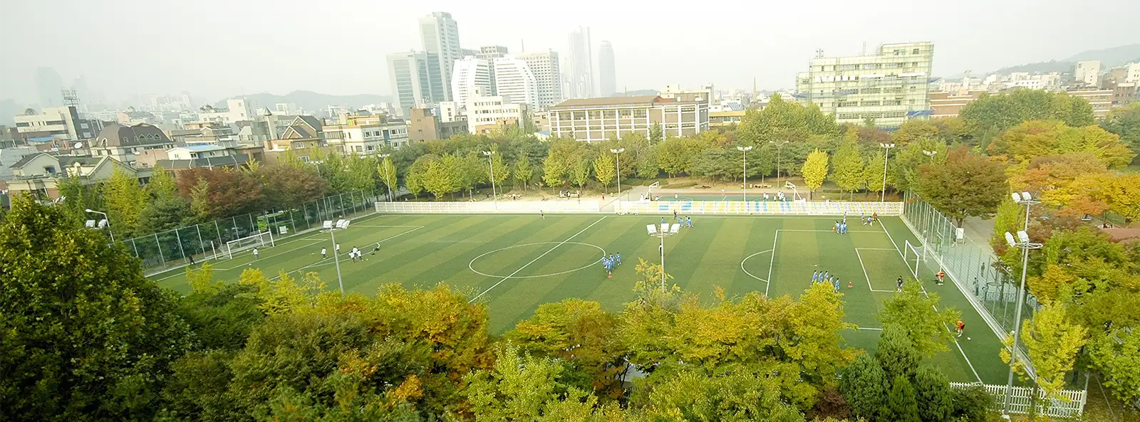 Soccermax Pro - Olympia Grass
